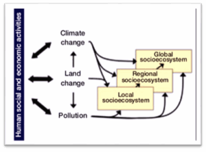 Urbanization Environmental Impact: From Land to Climate Impacts