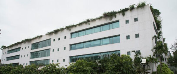 Roadmap to Net‑Zero Buildings: Design, Retrofit & Standards