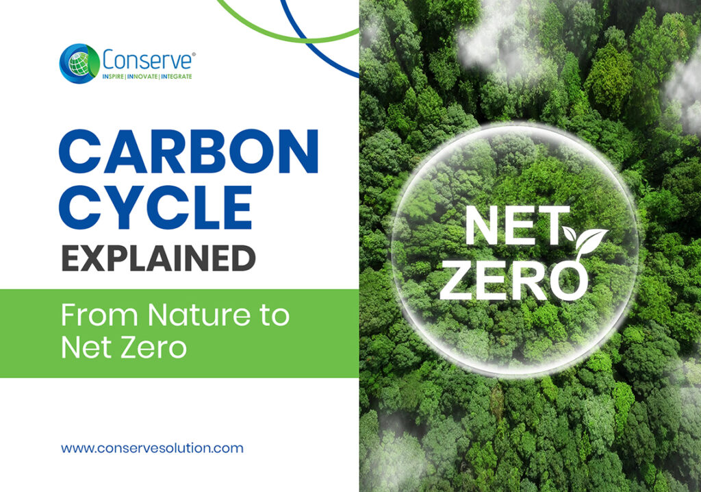 Nature’s Carbon Cycle: Human Impact & Path to Carbon Neutrality