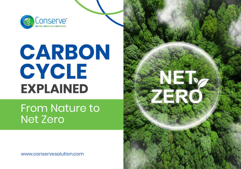 Nature’s Carbon Cycle: Human Impact & Path to Carbon Neutrality