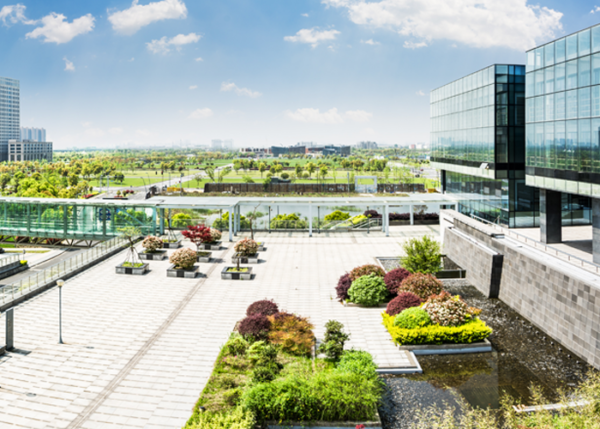 Landscape Design & Building Planning Services | Conserve