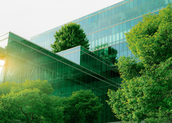 Services - Conserve Solutions